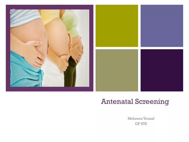 PPT - Antenatal Screening PowerPoint Presentation, free download - ID ...