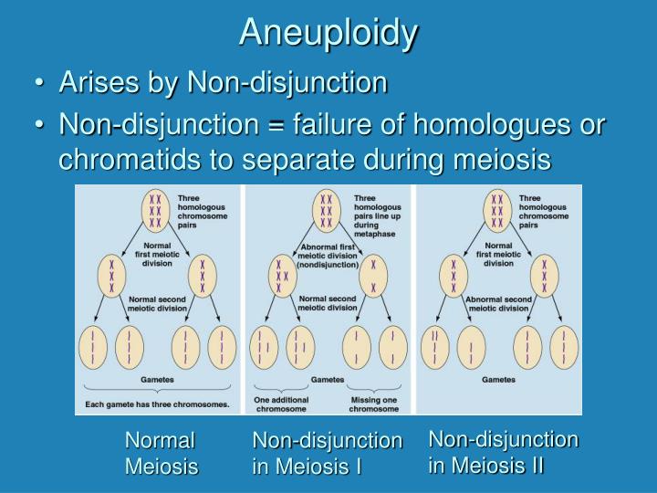 Genetic Mutations Part 4 Aneuploidy In Humans