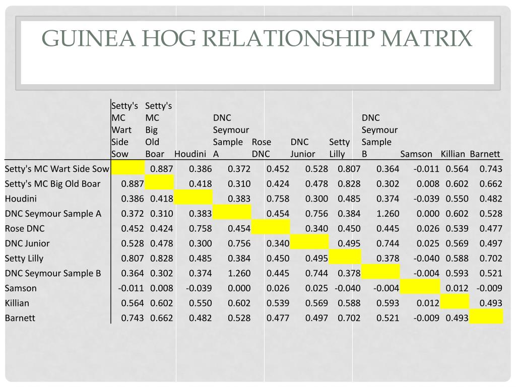 PPT - A Survey of Relationships Among Rare Breeds of Swine PowerPoint ...