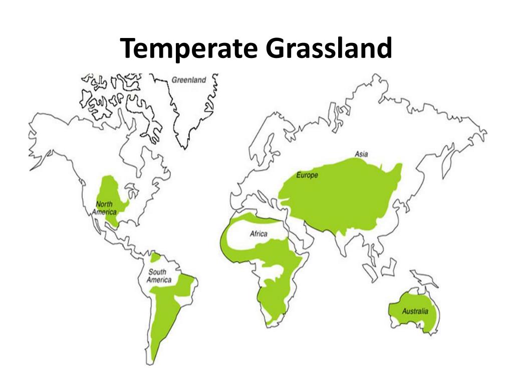 Temperate Grasslands Map - vrogue.co Temperate Grasslands Map - vrogue.co