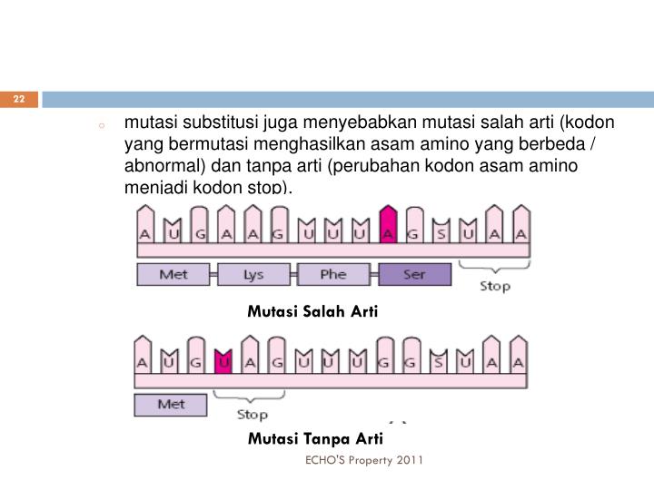 PPT - MUTASI PowerPoint Presentation - ID:2171597