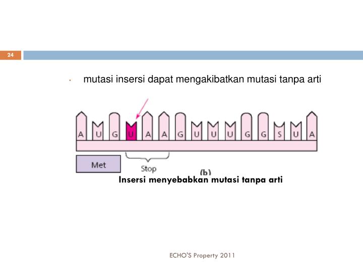 PPT - MUTASI PowerPoint Presentation - ID:2171597