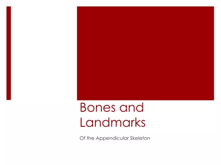 PPT - Bones and Landmarks PowerPoint Presentation, free download - ID ...