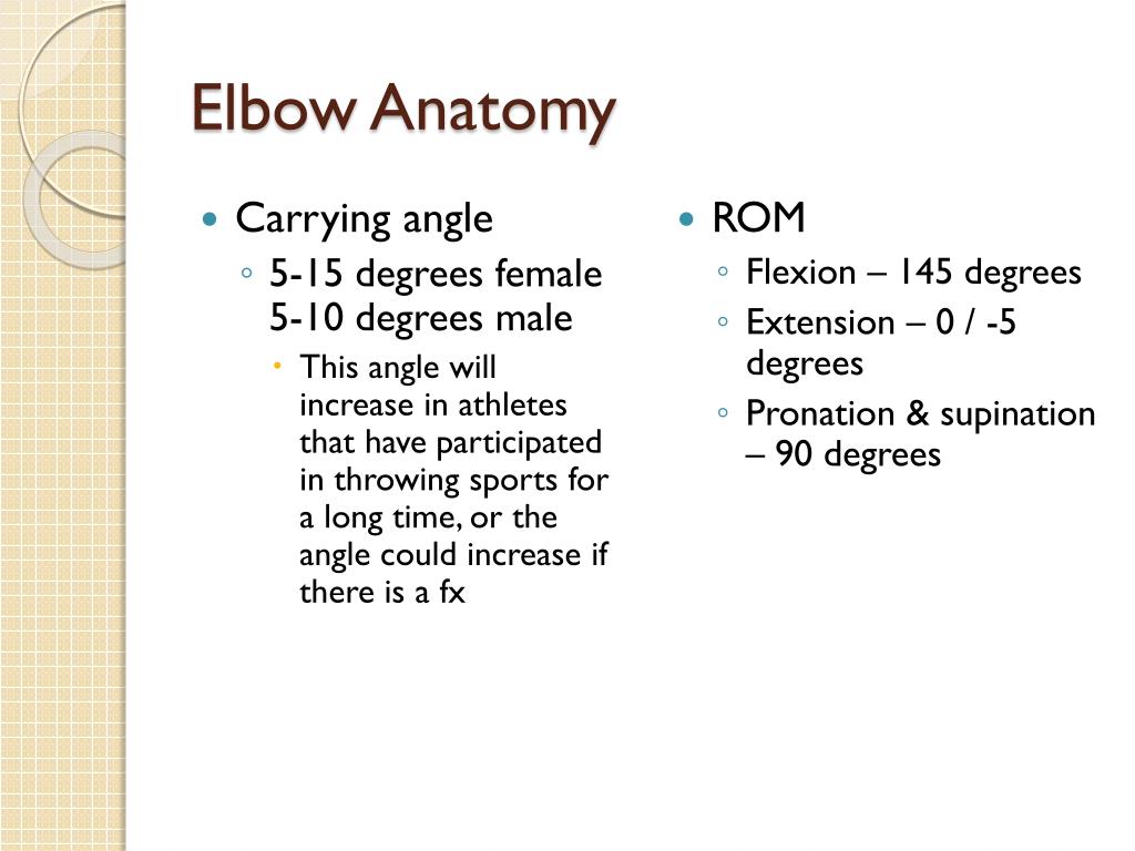 PPT - Elbow: Anatomy PowerPoint Presentation, free download - ID:2172215