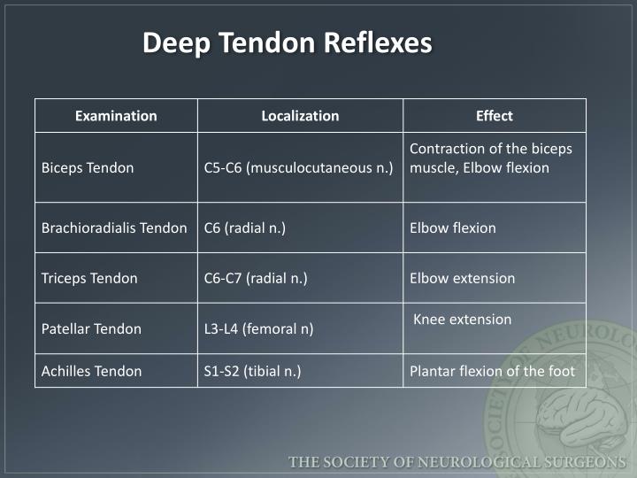 PPT - Neurological and Neuro-trauma Assessment PowerPoint Presentation ...