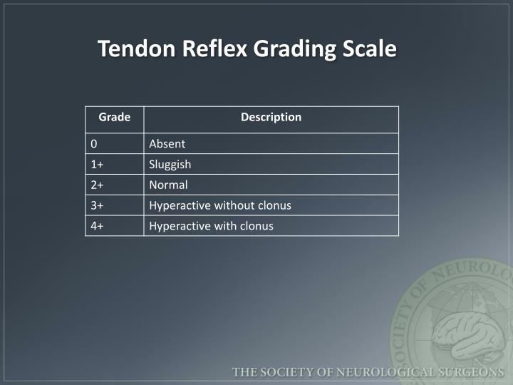 PPT - Neurological and Neuro-trauma Assessment PowerPoint Presentation ...