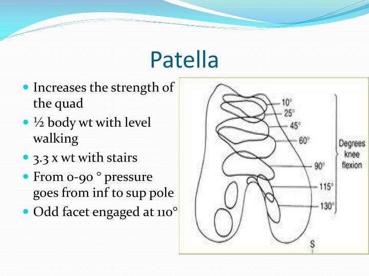 PPT - Patellofemoral Osteoarthritis PowerPoint Presentation - ID:2172402
