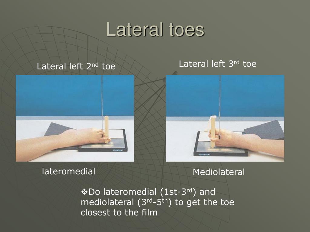 PPT - Film Critique PowerPoint Presentation, free download - ID:2172461