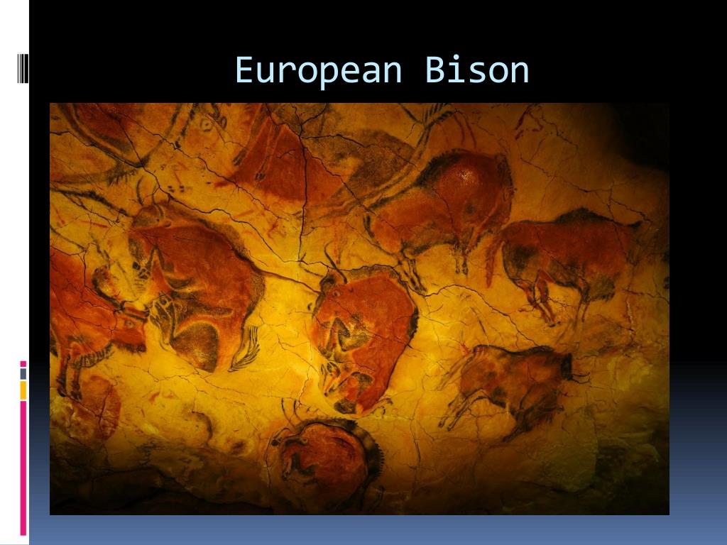 PPT - The Creative Revolution Paleolithic Cave Art 35,000 BC – 14,000 ...