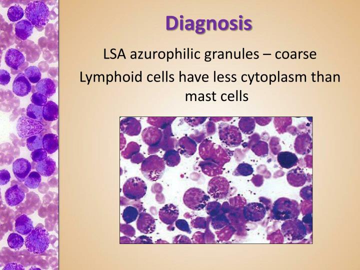 PPT - Practical Oncology Mast Cell Tumor PowerPoint Presentation - ID ...