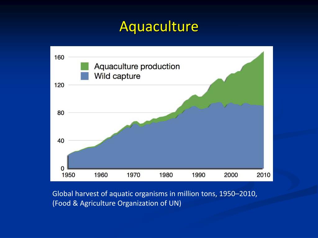 PPT - Aquaculture of Fishes Biology of Fishes 11.6.12 PowerPoint ...
