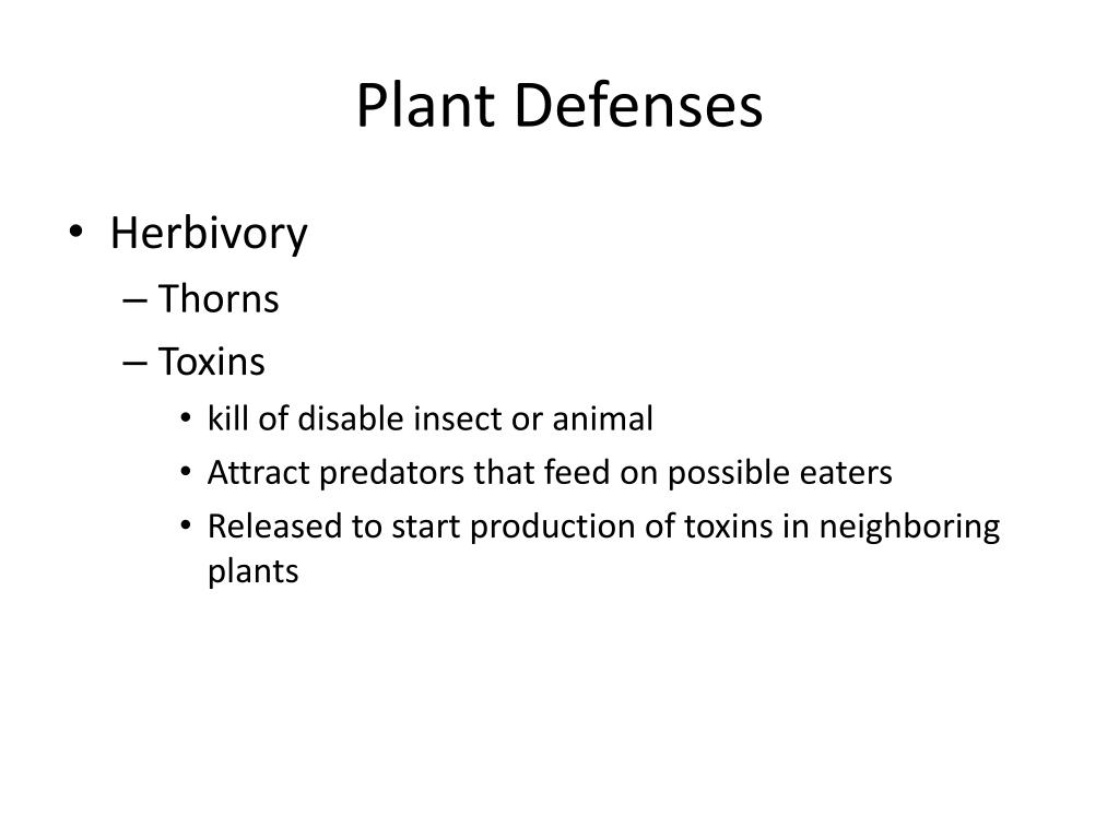 PPT - Plant Tropism and Defenses PowerPoint Presentation, free download ...