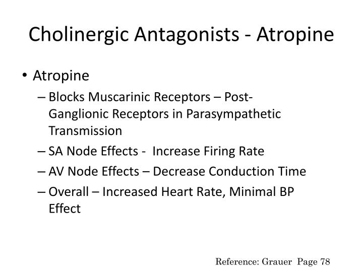 PPT - Stages of Anesthesia PowerPoint Presentation - ID:2173422