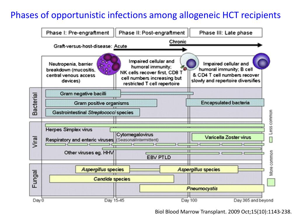 PPT - Fungal infections in hematology patients: advances in prophylaxis ...