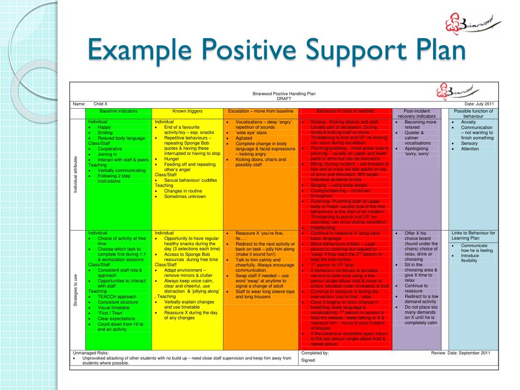 Ppt Positive Support Plans Powerpoint Presentation Free Download