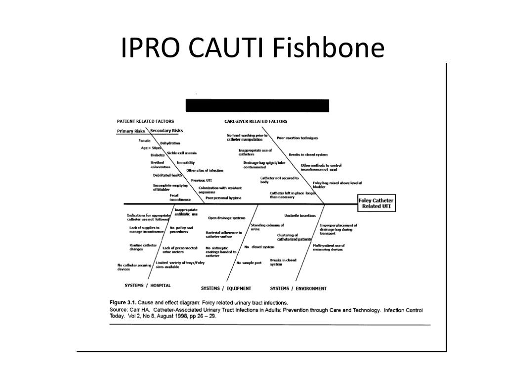 PPT - Conducting A Root Cause Analysis Nina Shik, MSN, RN, NEA-BC, CIC ...