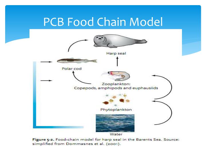 PPT - PCB-Contaminated Country Food in the Canadian Arctic Affecting ...