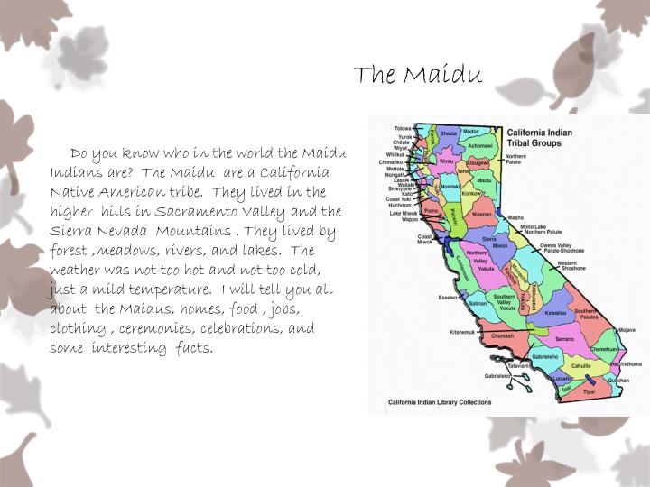 PPT - The Maidu A California Native American Tribe PowerPoint ...
