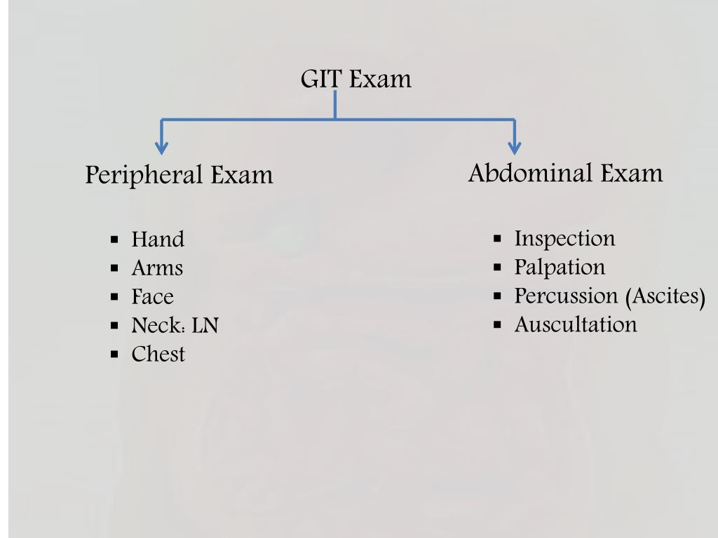 2024 Cipt Updated Demo Test Cipt Testking Certified Information