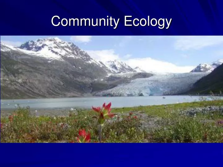 PPT - Community Ecology PowerPoint Presentation, free download - ID:2174269