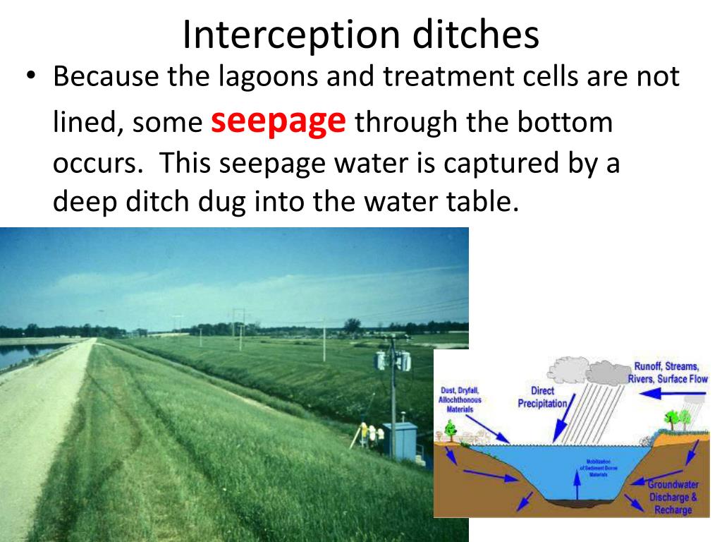 PPT - Muskegon Wastewater Treatment Facility PowerPoint Presentation ...