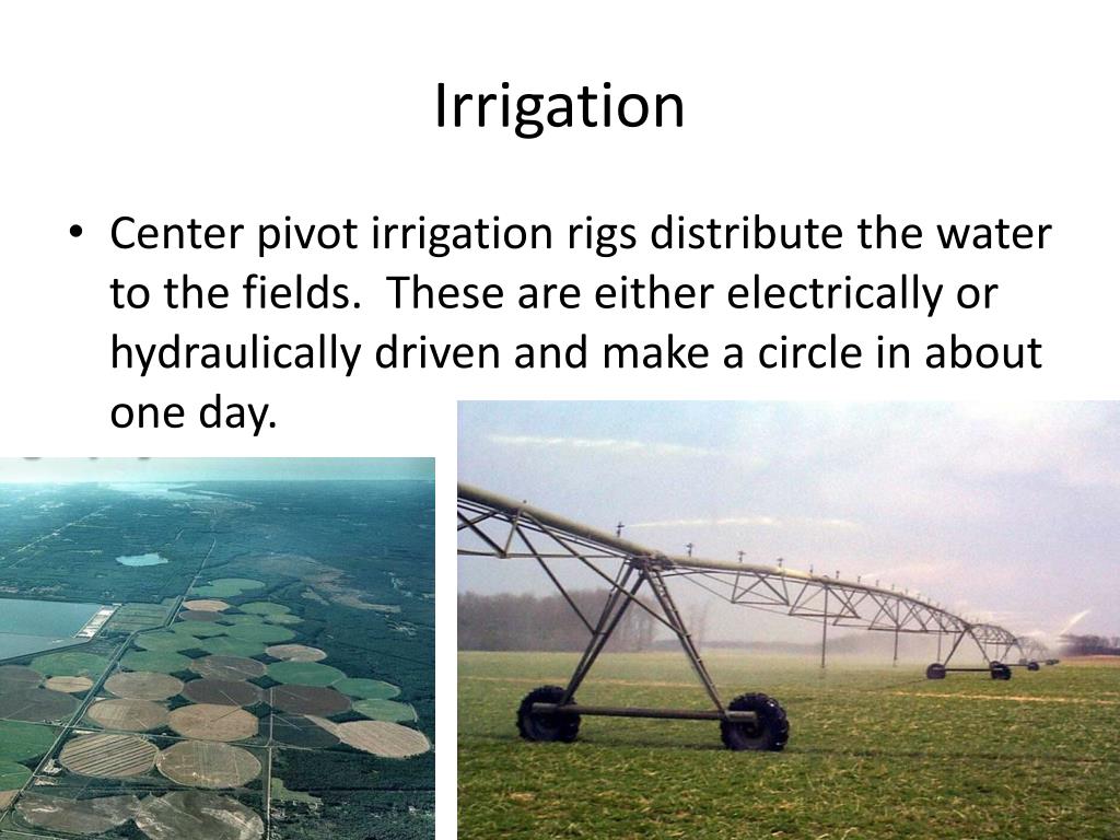 PPT - Muskegon Wastewater Treatment Facility PowerPoint Presentation ...