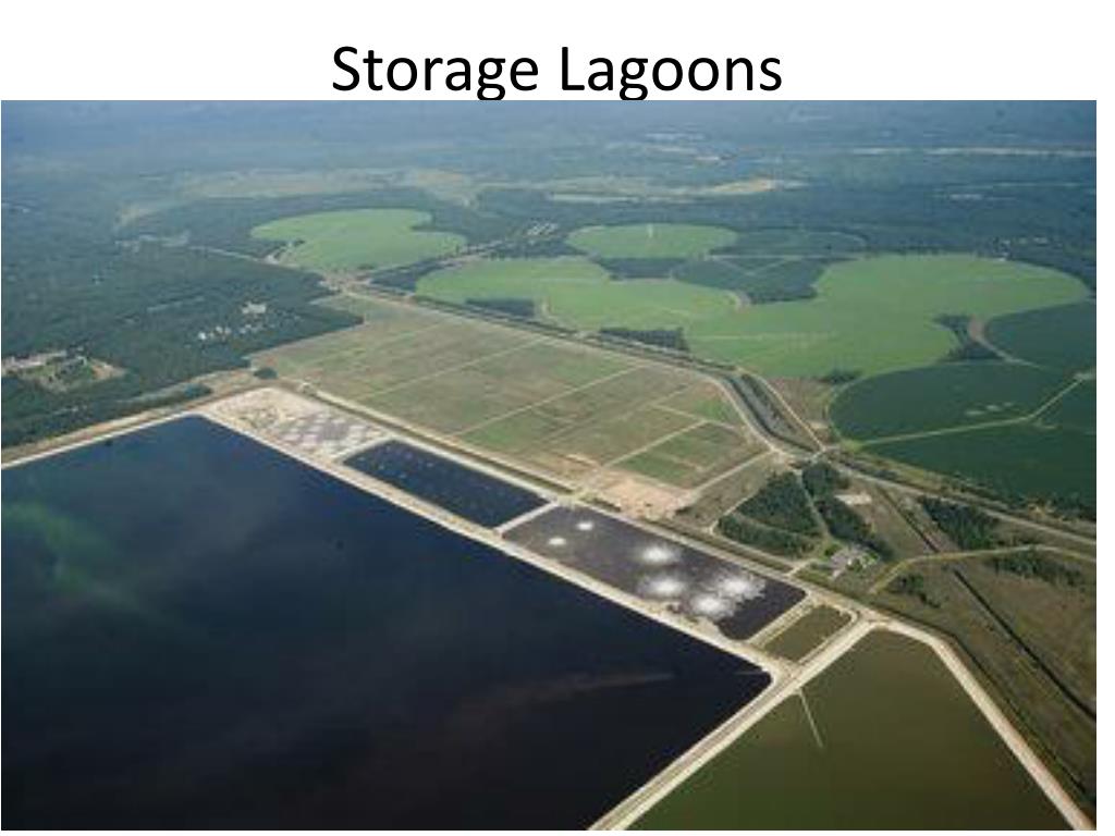 PPT - Muskegon Wastewater Treatment Facility PowerPoint Presentation ...