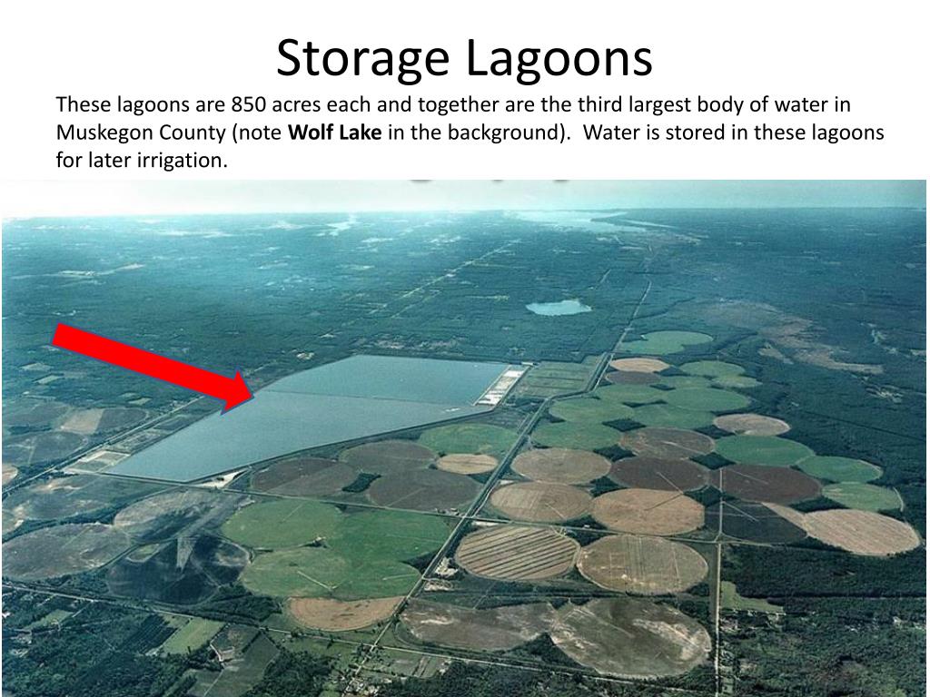 PPT - Muskegon Wastewater Treatment Facility PowerPoint Presentation ...