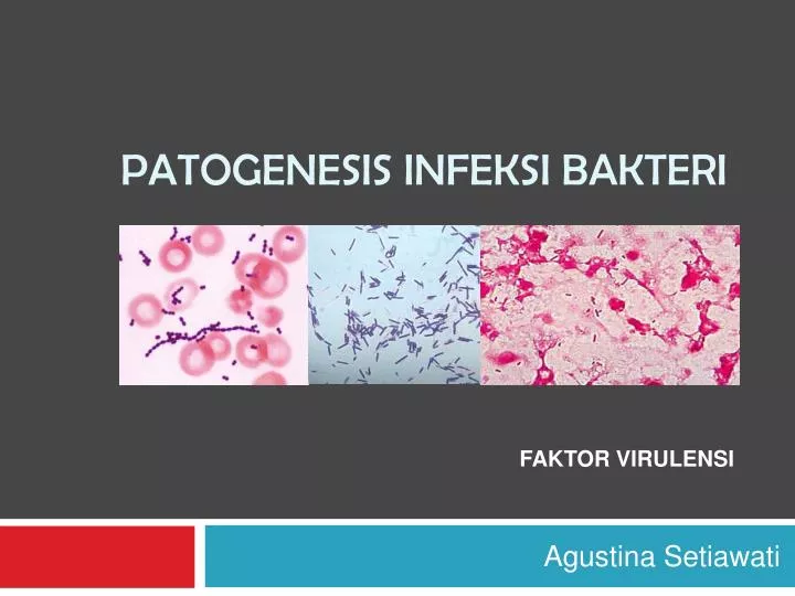 PPT - Patogenesis infeksi bakteri PowerPoint Presentation, free ...