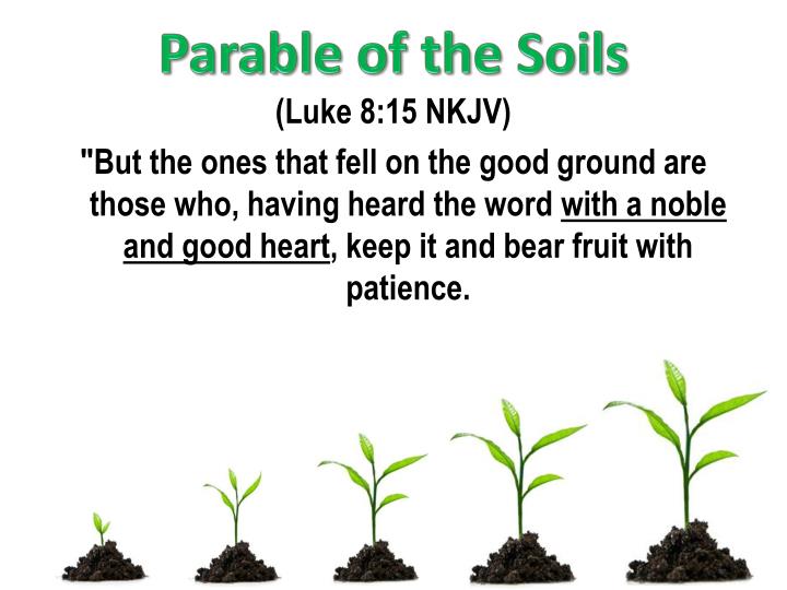 PPT - The Parable of the Growing Seed PowerPoint Presentation - ID:2174993