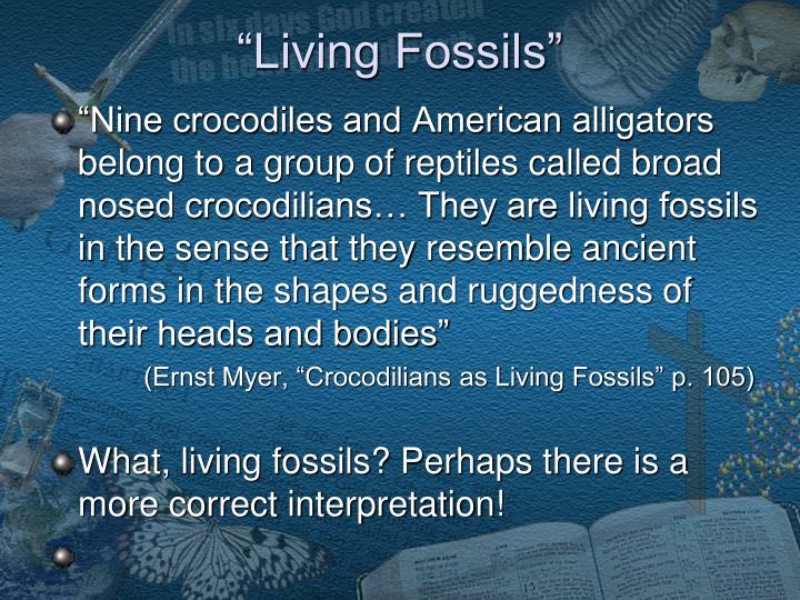 PPT - Dinosaurs and Man together? PowerPoint Presentation - ID:2175688