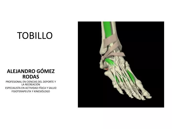 PPT - TOBILLO PowerPoint Presentation, free download - ID:2176307