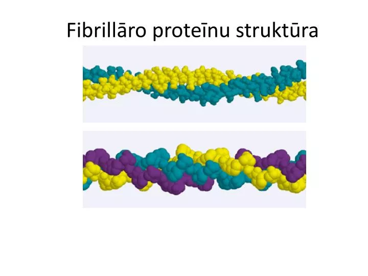 PPT - Fibrillāro proteīnu struktūra PowerPoint Presentation, free ...