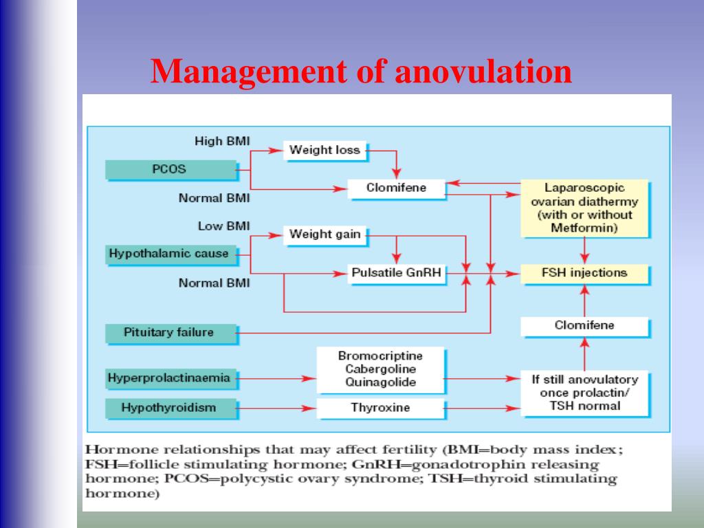 PPT - Yasser Orief M.D. Lecturer of Obstetrics & Gynecology, Alexandria ...