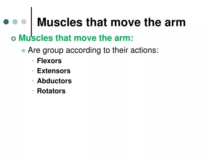 PPT - Muscles that move the arm PowerPoint Presentation, free download ...
