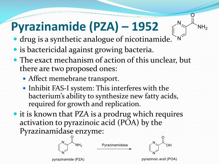 PPT - ANTI-TUBERCULOSIS DRUGS PowerPoint Presentation - ID:2176860