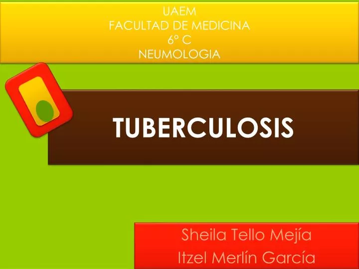PPT - TUBERCULOSIS PowerPoint Presentation, free download - ID:2176868