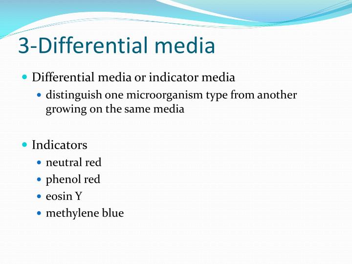 PPT - Laboratory Methods For Identification Of Bacteria PowerPoint ...