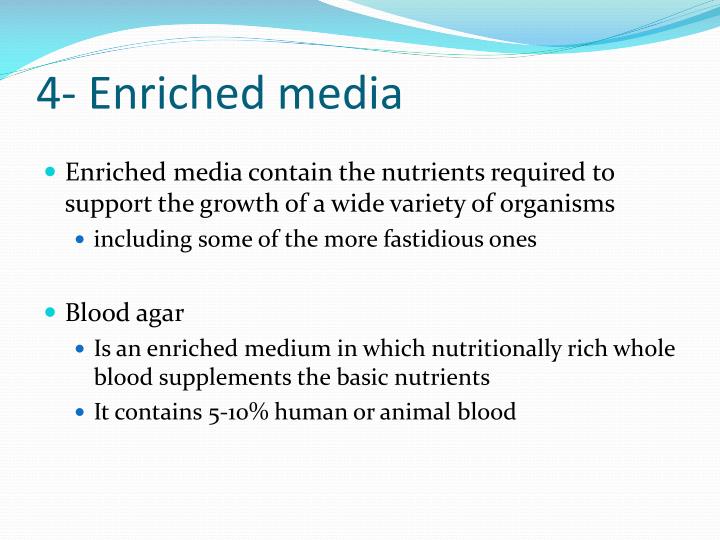 PPT - Laboratory Methods For Identification Of Bacteria PowerPoint ...