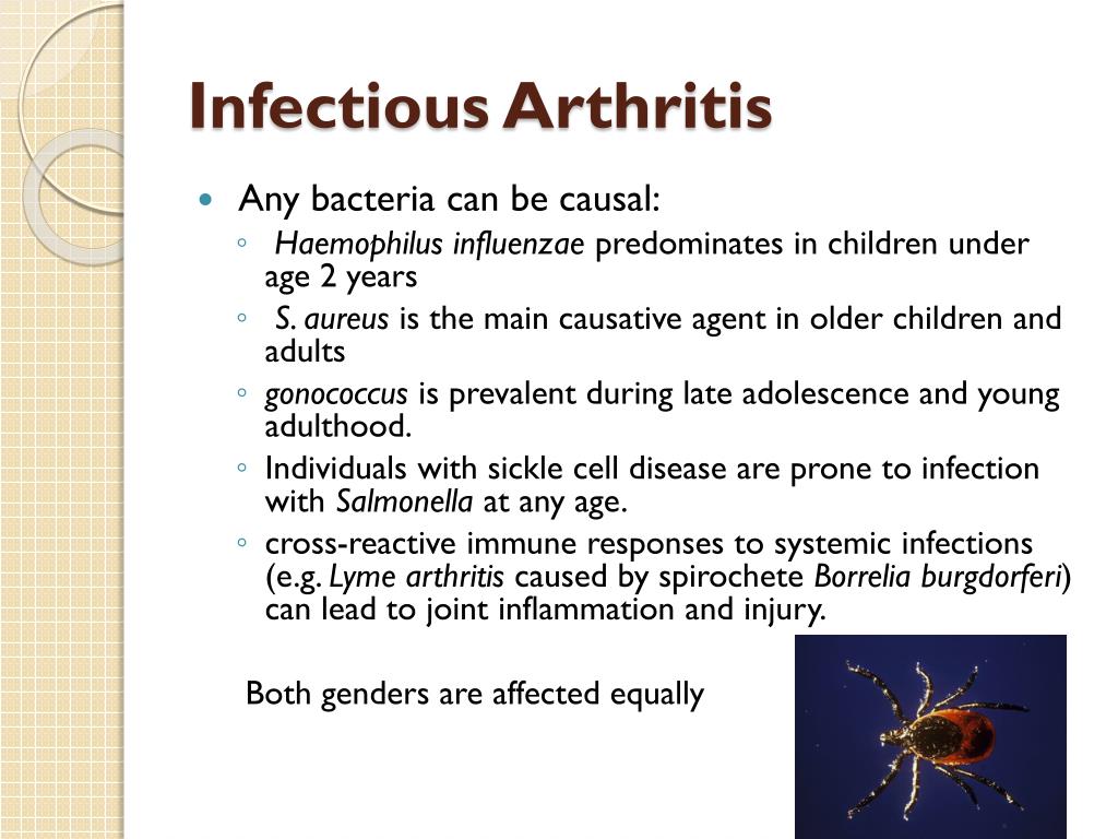 PPT - MUSCULOSKELETAL BLOCK Pathology OSTEOMYELITIS and SEPTIC ...