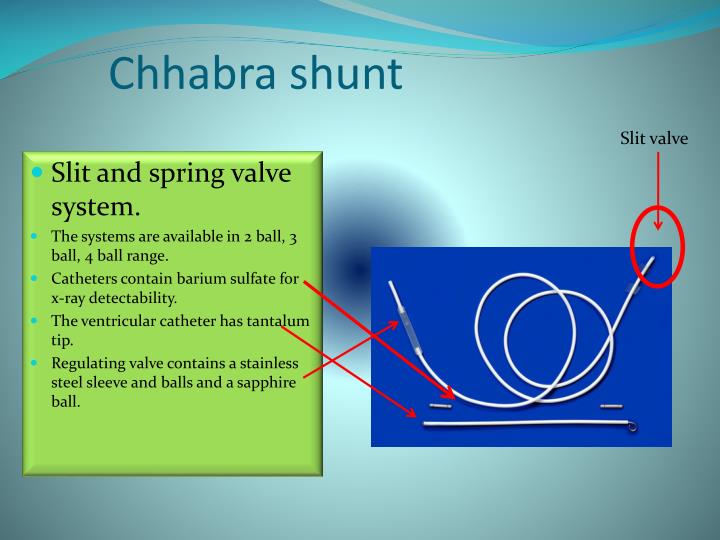 PPT - SHUNT TECHNOLOGIES PowerPoint Presentation - ID:2177135