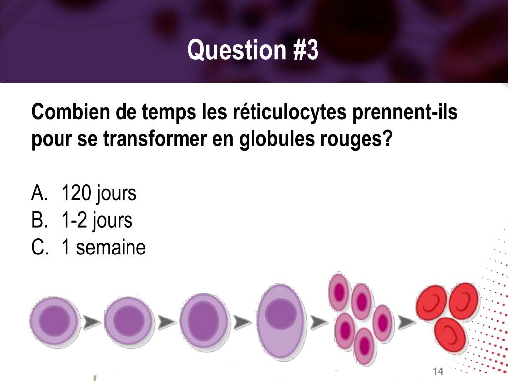 PPT - Allez de l’avant avec l’anémie ferriprive PowerPoint Presentation ...