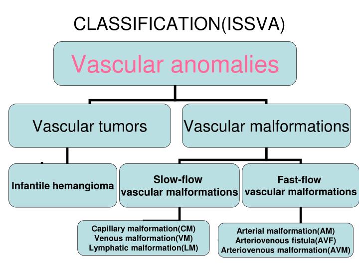 PPT - Updated ISSVA (International Society for the Study of Vascular ...