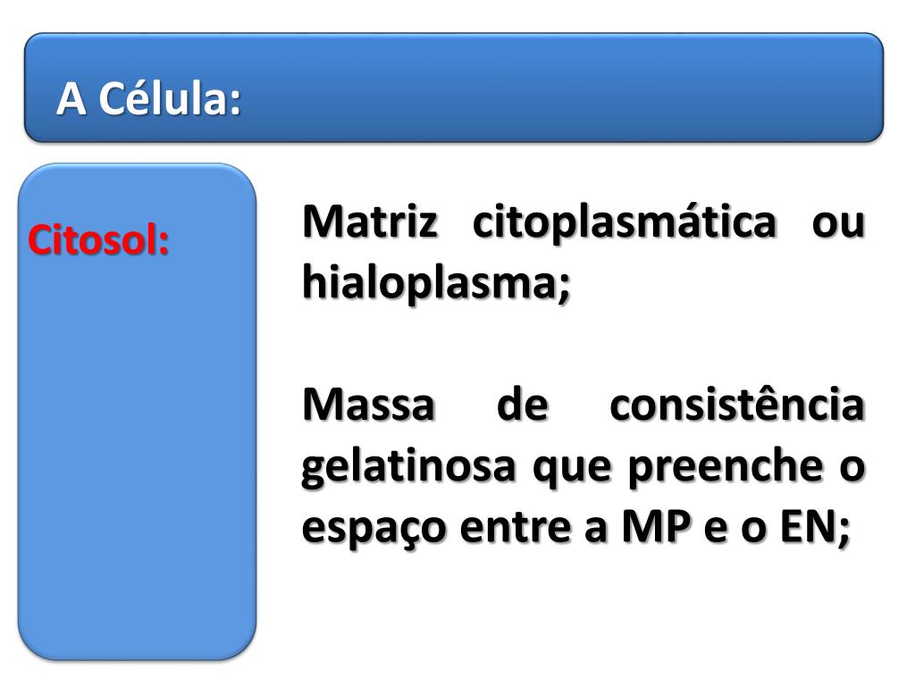 PPT - Matriz citoplasmática ou hialoplasma; PowerPoint Presentation ...