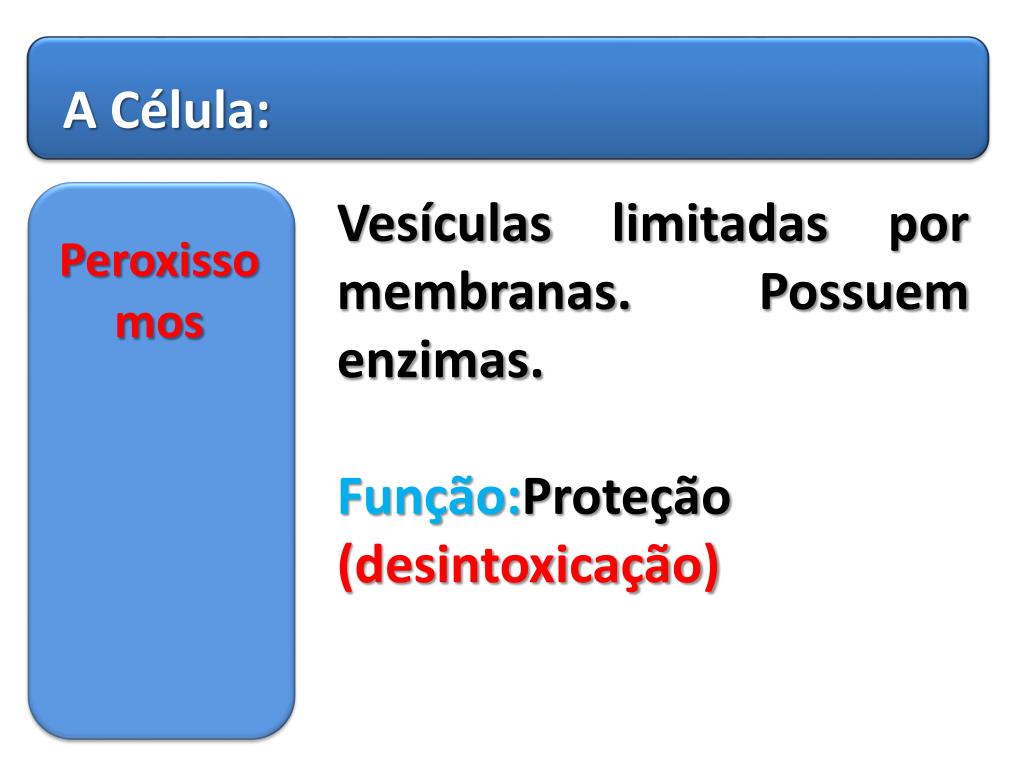PPT - Matriz citoplasmática ou hialoplasma; PowerPoint Presentation ...