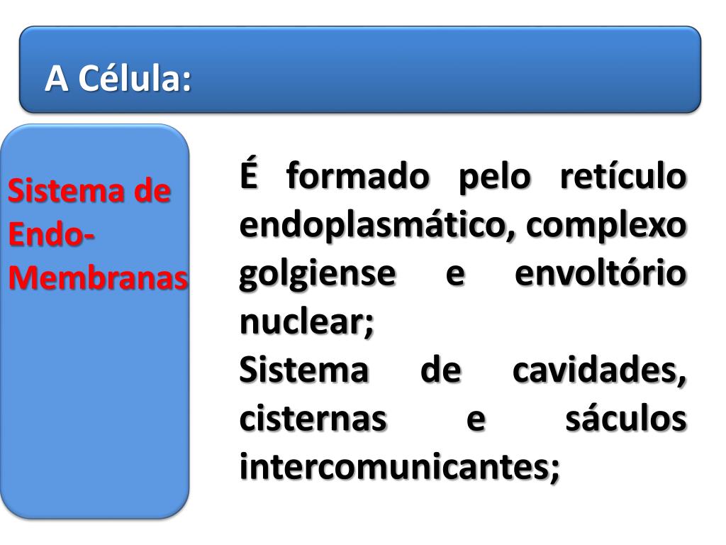 PPT - Matriz citoplasmática ou hialoplasma; PowerPoint Presentation ...
