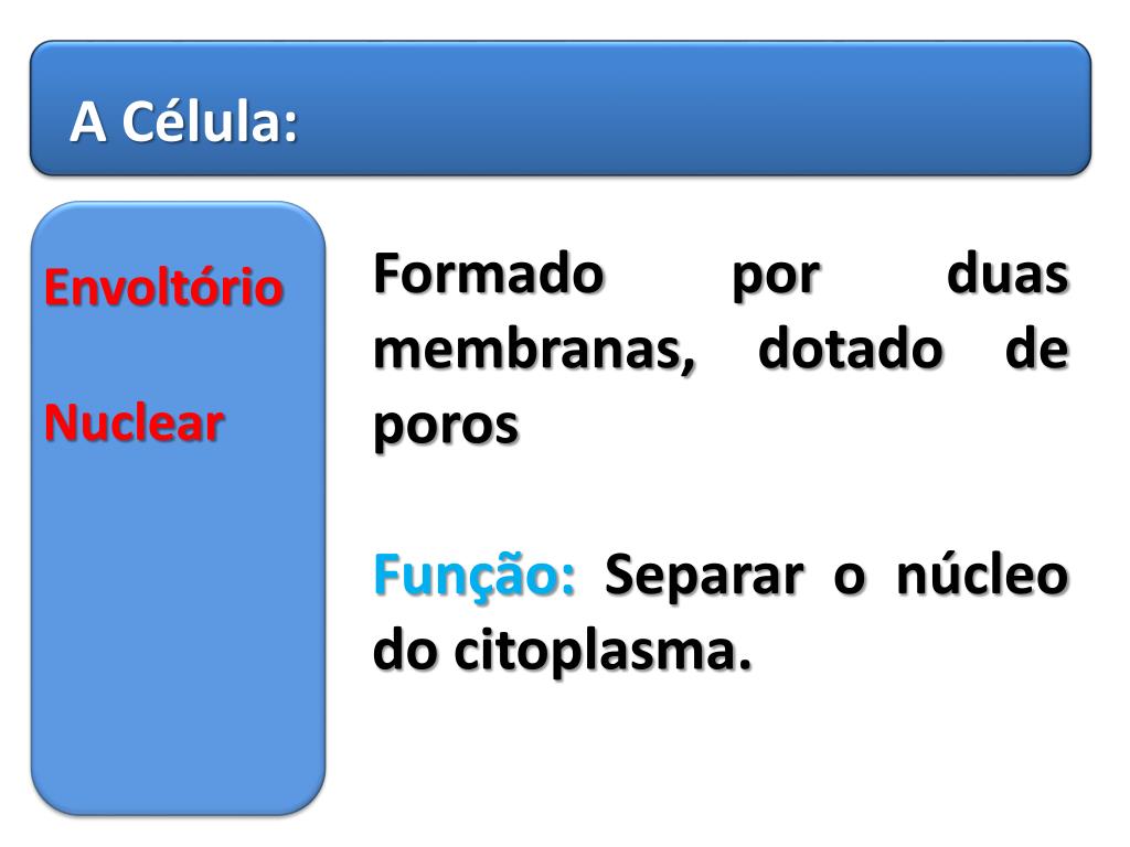 PPT - Matriz citoplasmática ou hialoplasma; PowerPoint Presentation ...