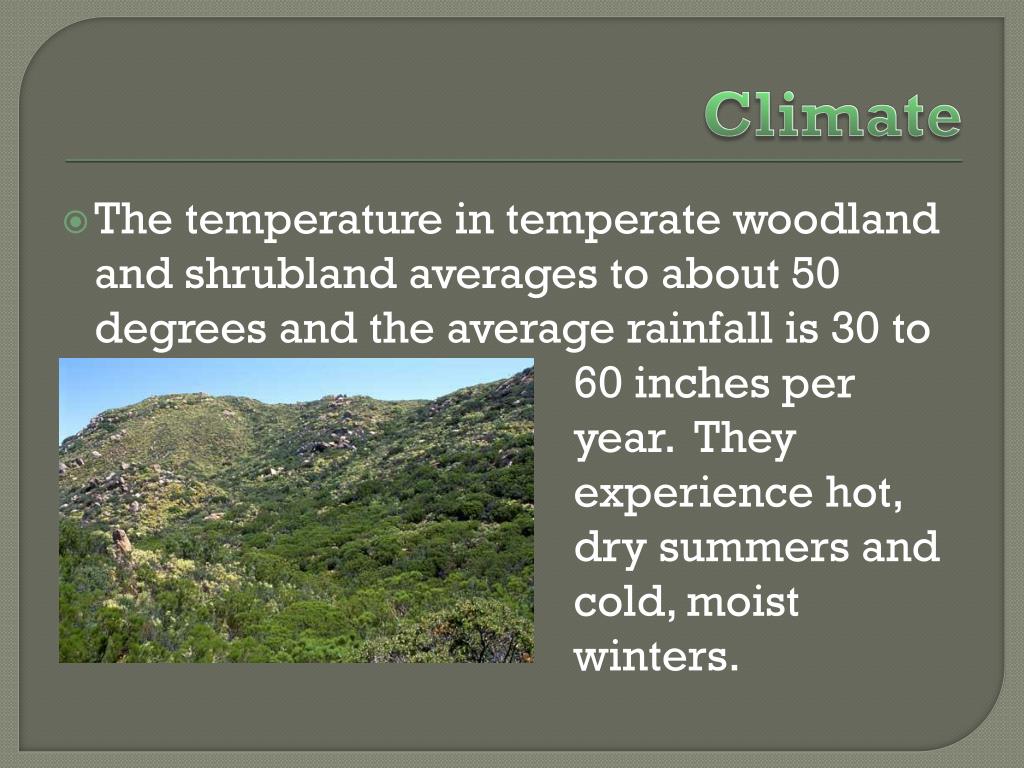 PPT - Temperate Woodland and Shrubland David, Deanna & Kaitlyn ...