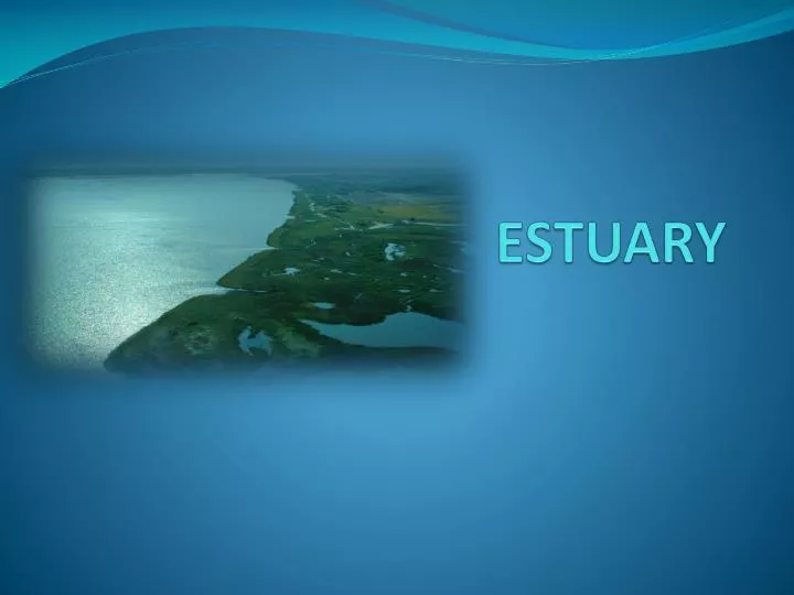 PPT - ESTUARY PowerPoint Presentation, free download - ID:2177511