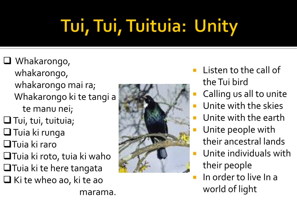 PPT - Health Research, the re-indigenisation of Aotearoa New Zealand ...